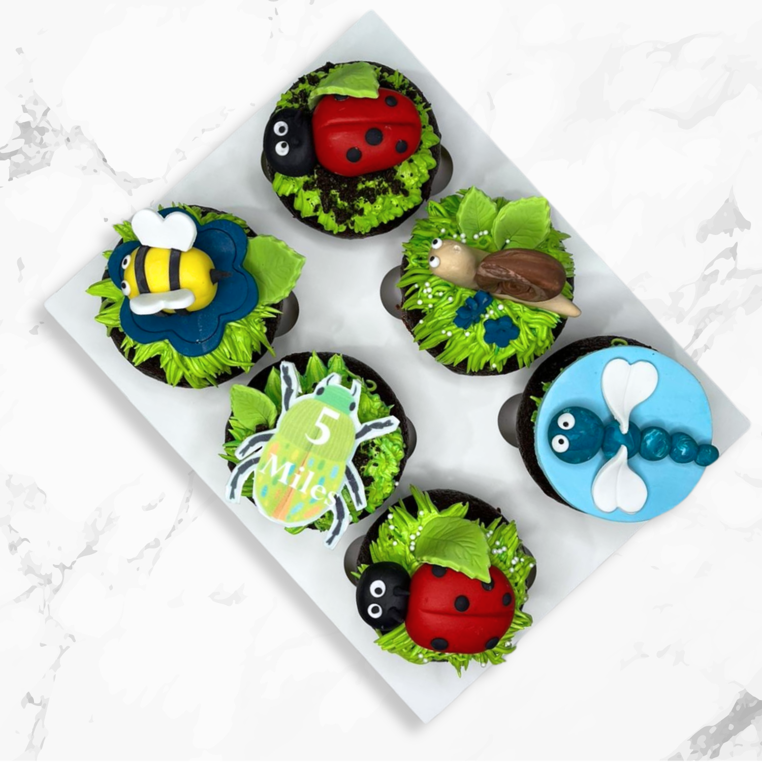 Insects Themed Cupcakes – Poles Patisserie