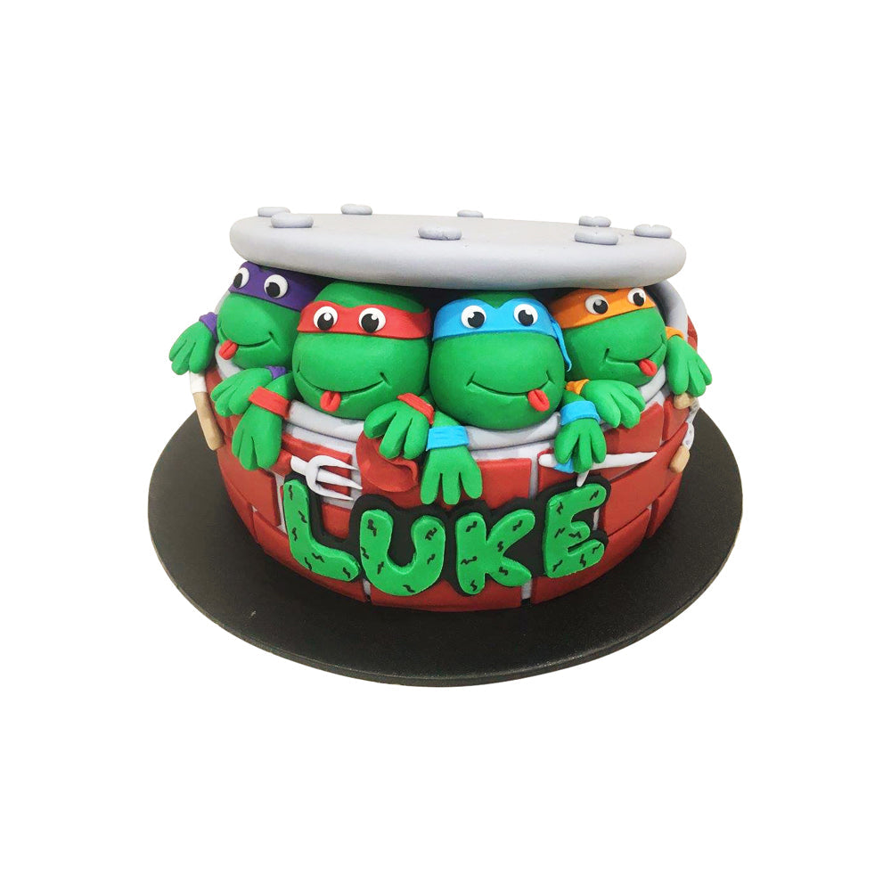 Cute Ninja Turtles Cake | Poles Patisserie